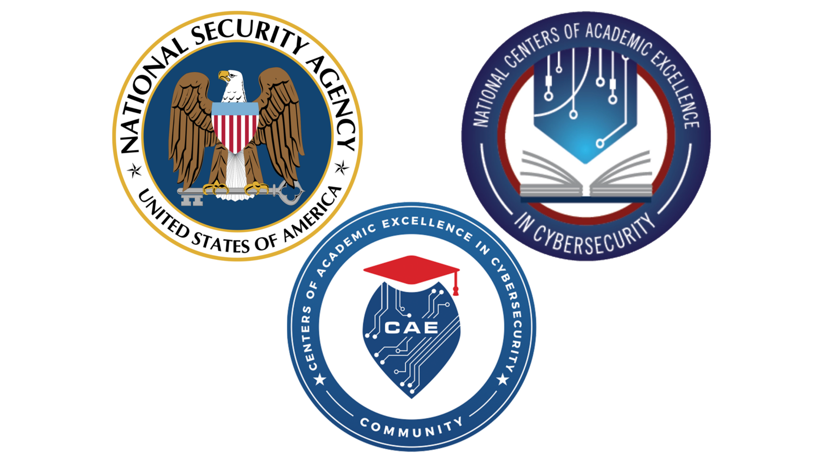 About the Division of Information Technology & Sciences | Champlain College