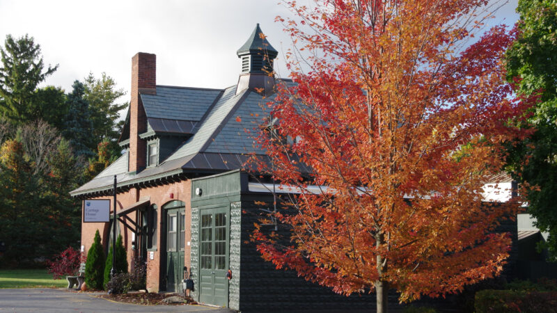 First-Year Housing | Champlain College, Burlington, Vermont