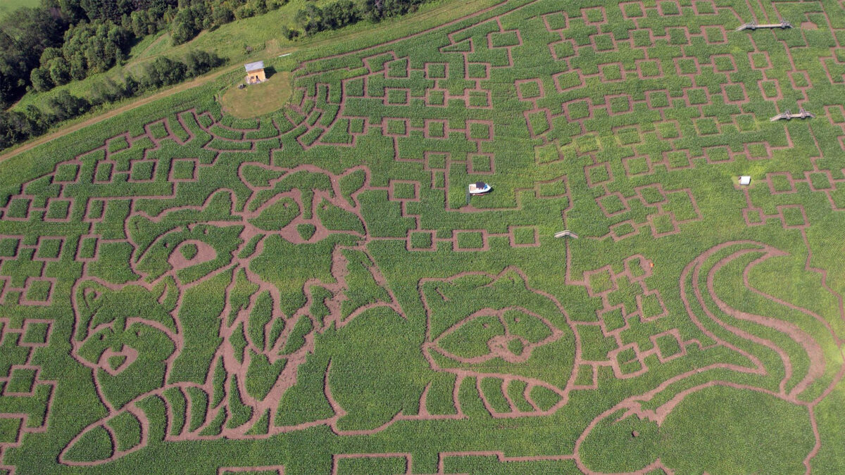 Trip to the Great Vermont Corn Maze - Champlain College